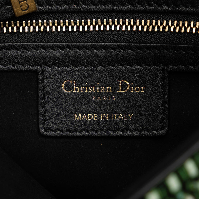 Dior Animals Beaded Saddle (SHG-oOS8KU) – LuxeDH